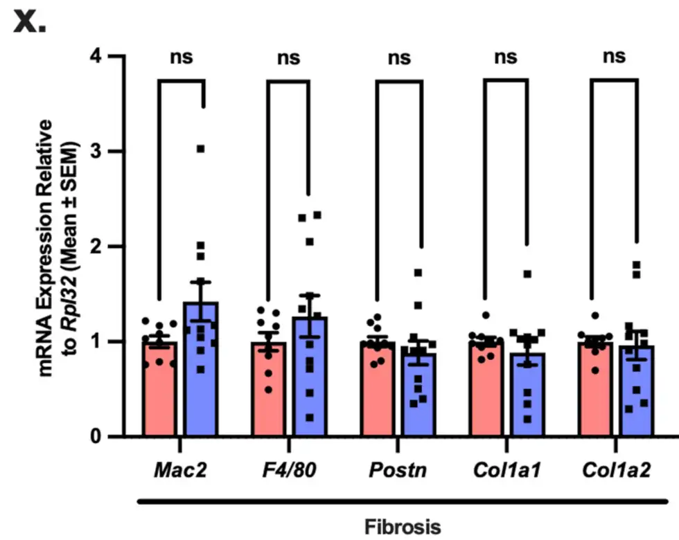 How To Read The Paper Claiming Semaglutide Reduces Cardiomyocyte Size ...